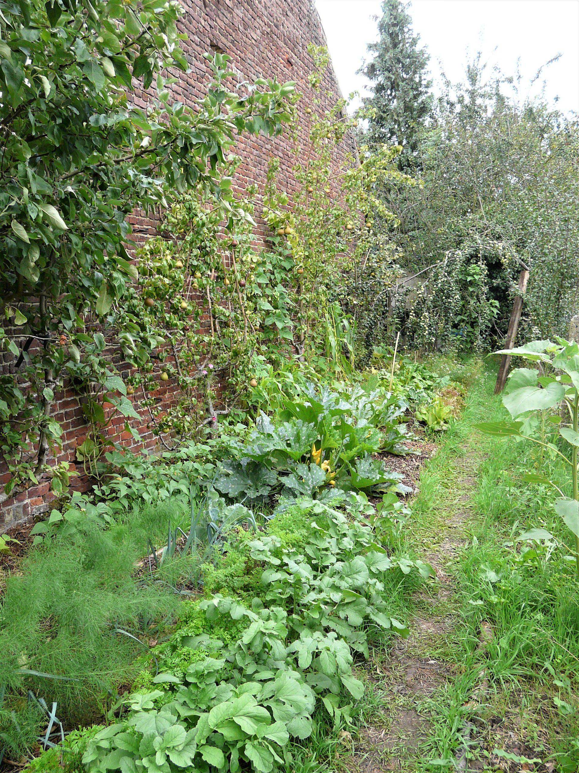 Formation au potager en permaculture - Éconnaissances